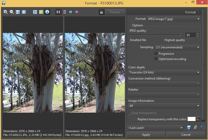 What's the difference between JPEG and TIFF