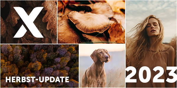 Herbs-Update 2023 | Zoner Photo Studio X