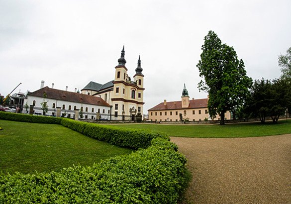 Zoner Photo Studio X—Windows software for editing and organizing photos