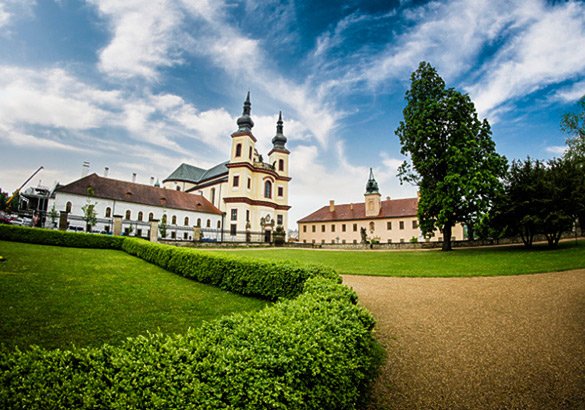 Zoner Photo Studio X—Windows software for editing and organizing photos